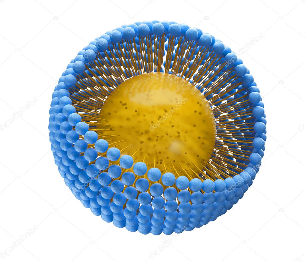 Ilustración médica 3D de una estructura de micela monocapa con una ...