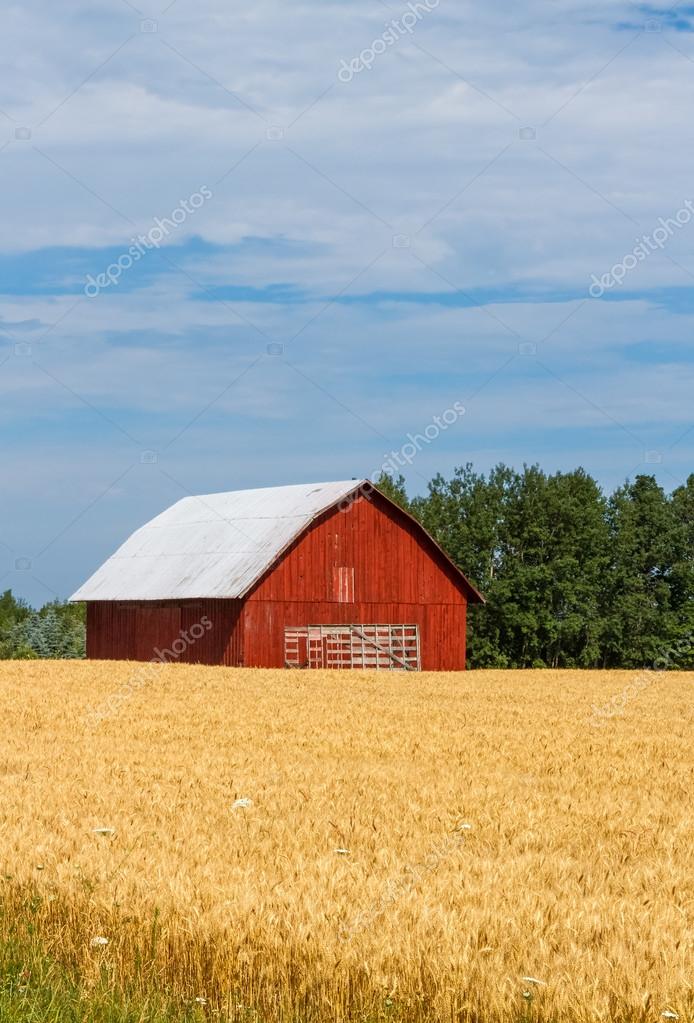 Red barn in field | Red Barn in Field — Stock Photo © KennethKeifer ...