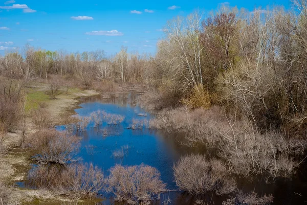 Shark river slough Stock Photos, Royalty Free Shark river slough Images ...