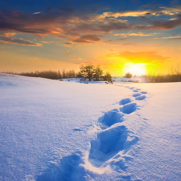 Fotos de Neve ao sol, Imagens de Neve ao sol sem royalties | Depositphotos