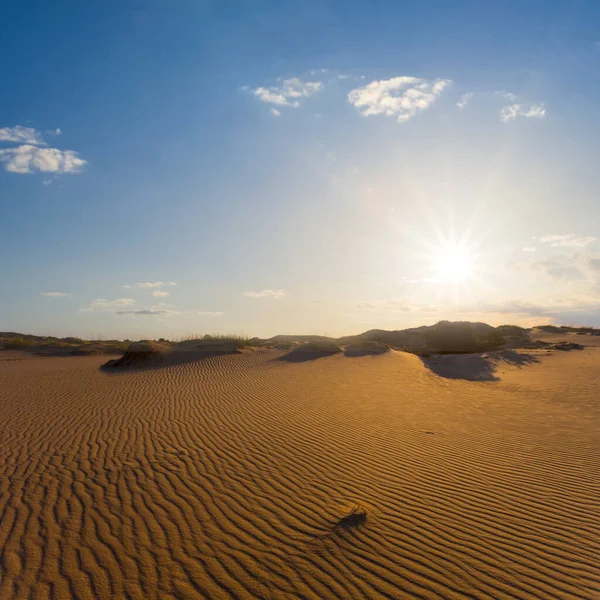 Desert israel sun Stock Photos, Royalty Free Desert israel sun Images ...