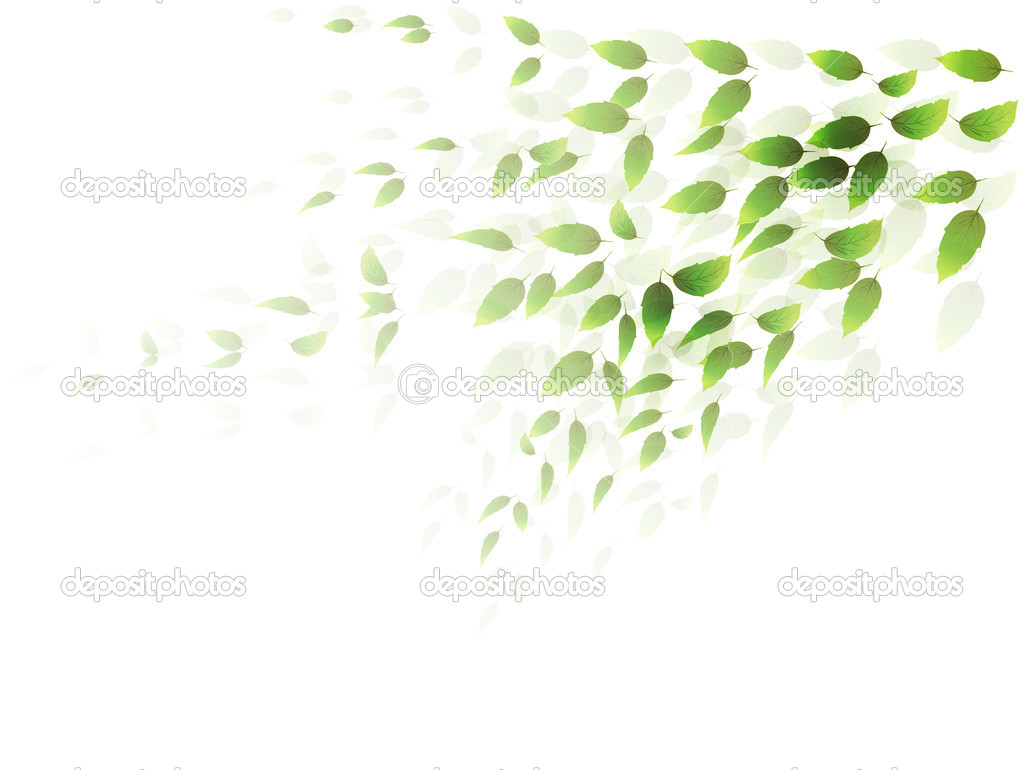 Plant leaf background Stock Vector by ©JBOY24 43010085