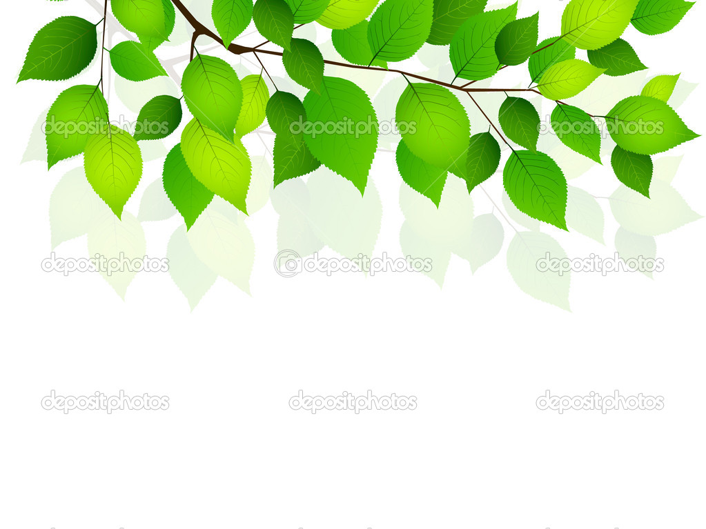 Plant leaf background Stock Vector Image by ©JBOY24 #43031849