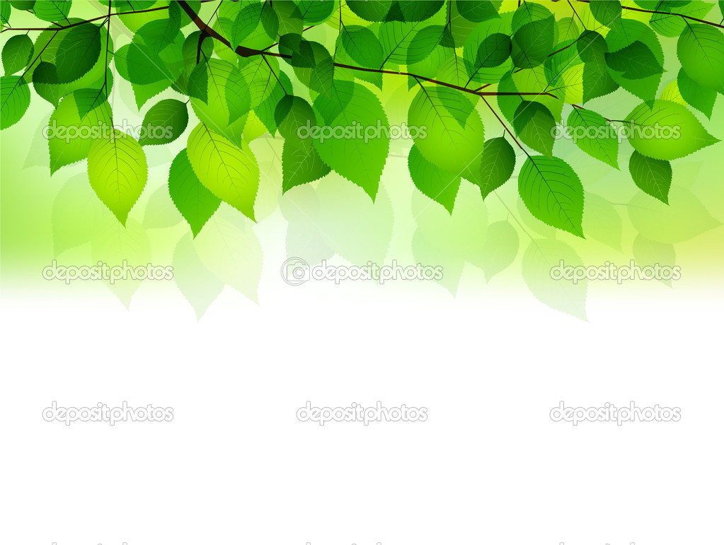 Plant leaf background Stock Vector Image by ©JBOY24 #43031893