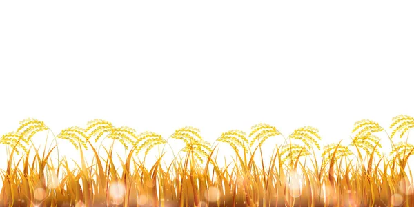 Rice Rice Autumn Background Stock Vector by ©JBOY24 286797868