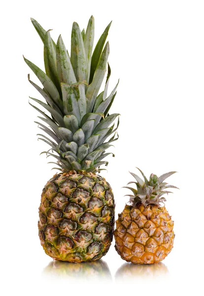 Pineapples Stock Photos, Royalty Free Pineapples Images | Depositphotos