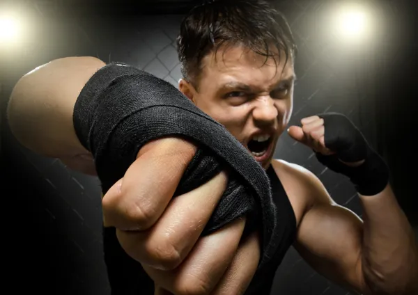 Intrepid fighter Stock Photos, Royalty Free Intrepid fighter Images ...