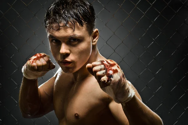 Potent Stock Photos, Royalty Free Potent Images | Depositphotos®