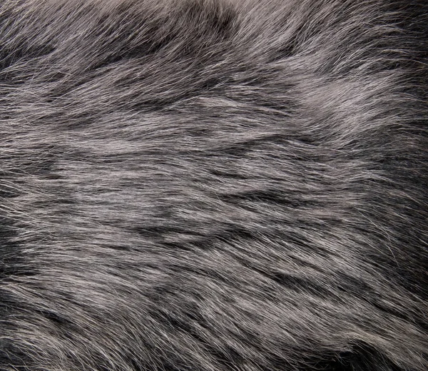 1,129,590 Animal fur Images - Free & Royalty-free Stock Animal fur ...