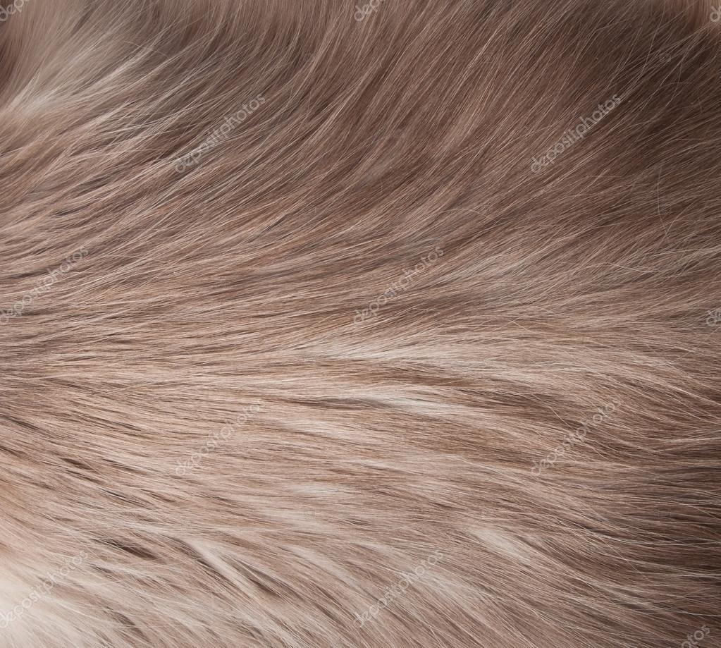 Fur texture close-up background Stock Photo by ©timolina 18642303