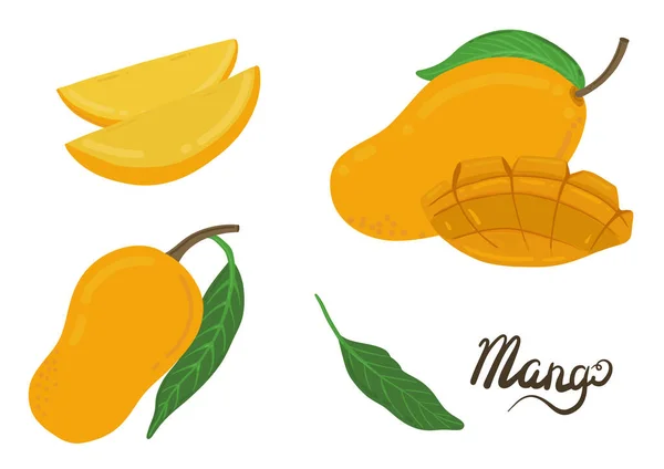 100,000 Mango fruit drawing Vector Images | Depositphotos