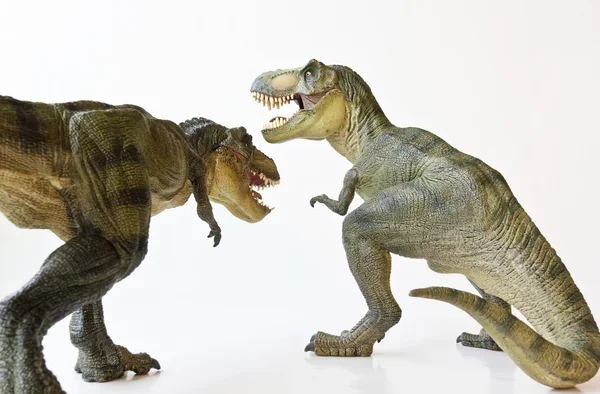 A Tyrannosaurus Rex Dinosaur Battles a Spinosaurus — Stock Photo ...