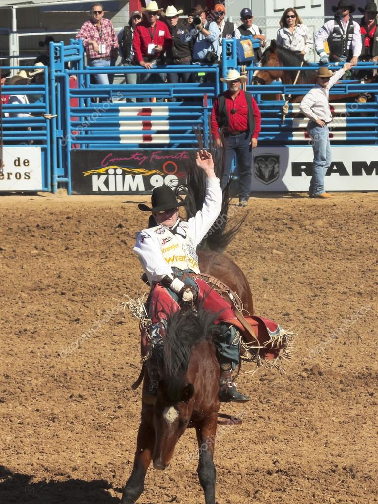 A La Fiesta De Los Vaqueros, Tucson, Arizona — Stock Editorial Photo ...