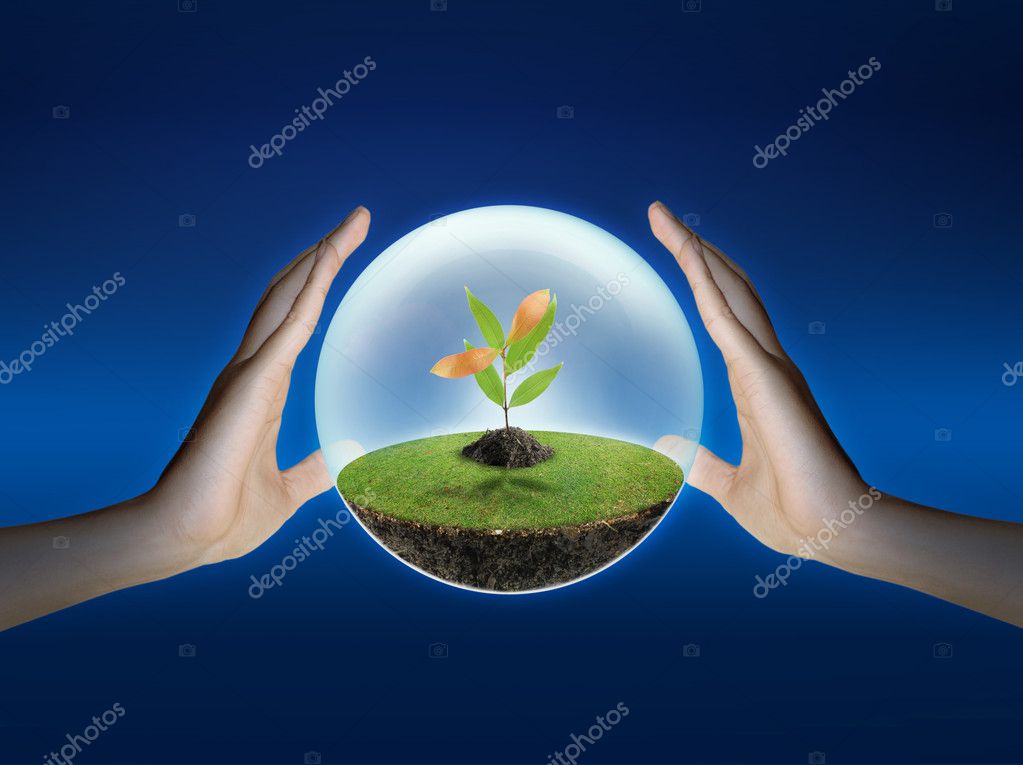 Human hand save nature Stock Photo by ©pongsuwan 19283287