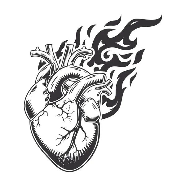 Hearts On Fire Drawings