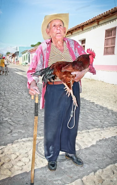 Cuban rooster Stock Photos, Royalty Free Cuban rooster Images ...