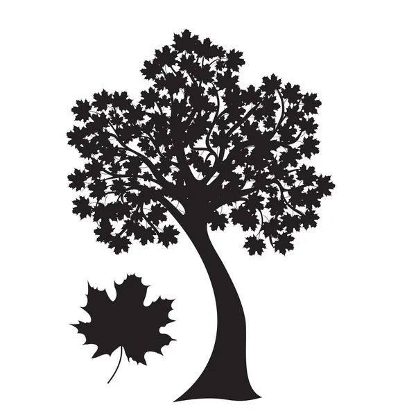 28,816 Maple tree Vector Images | Depositphotos
