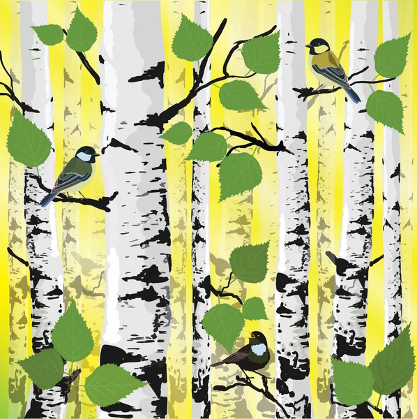 Birch Forest Background Stock Vector Image by ©ivaleks #12880652