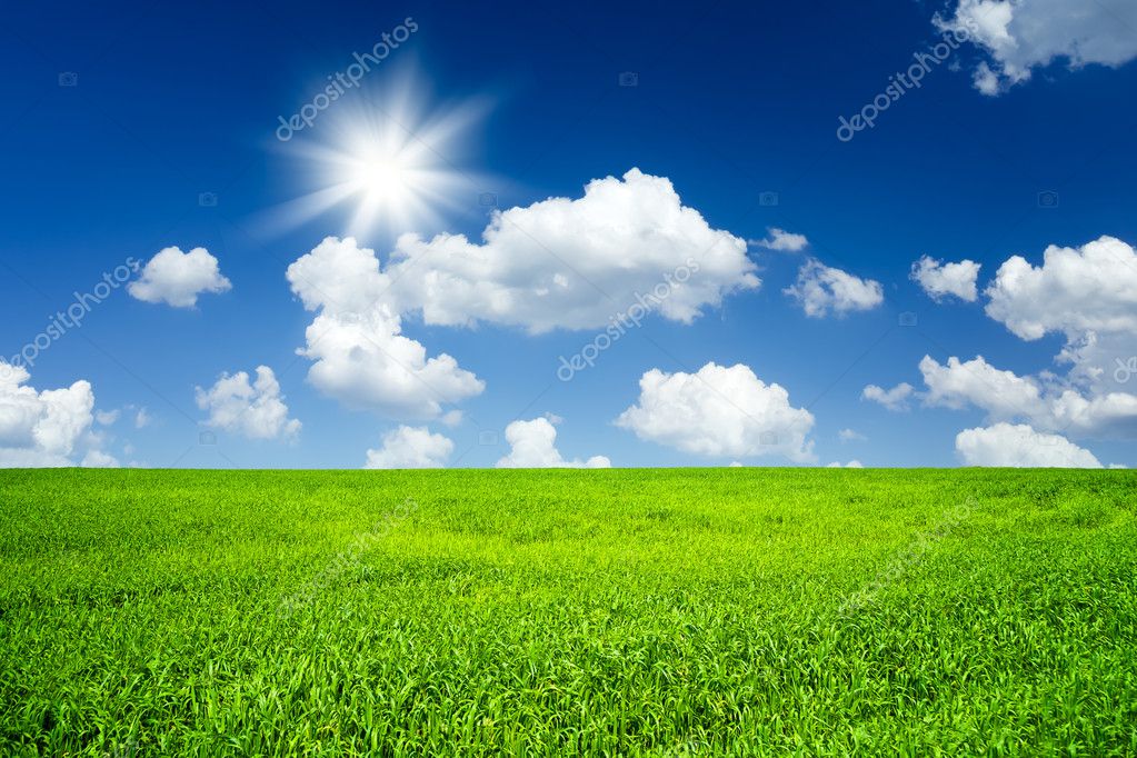 Campo verde: fotografía de stock © ivan_dzyuba #20672703 | Depositphotos