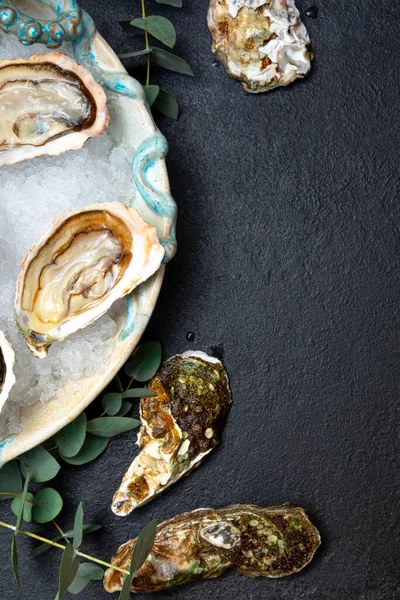 Beautiful oysters Stock Photos, Royalty Free Beautiful oysters Images ...