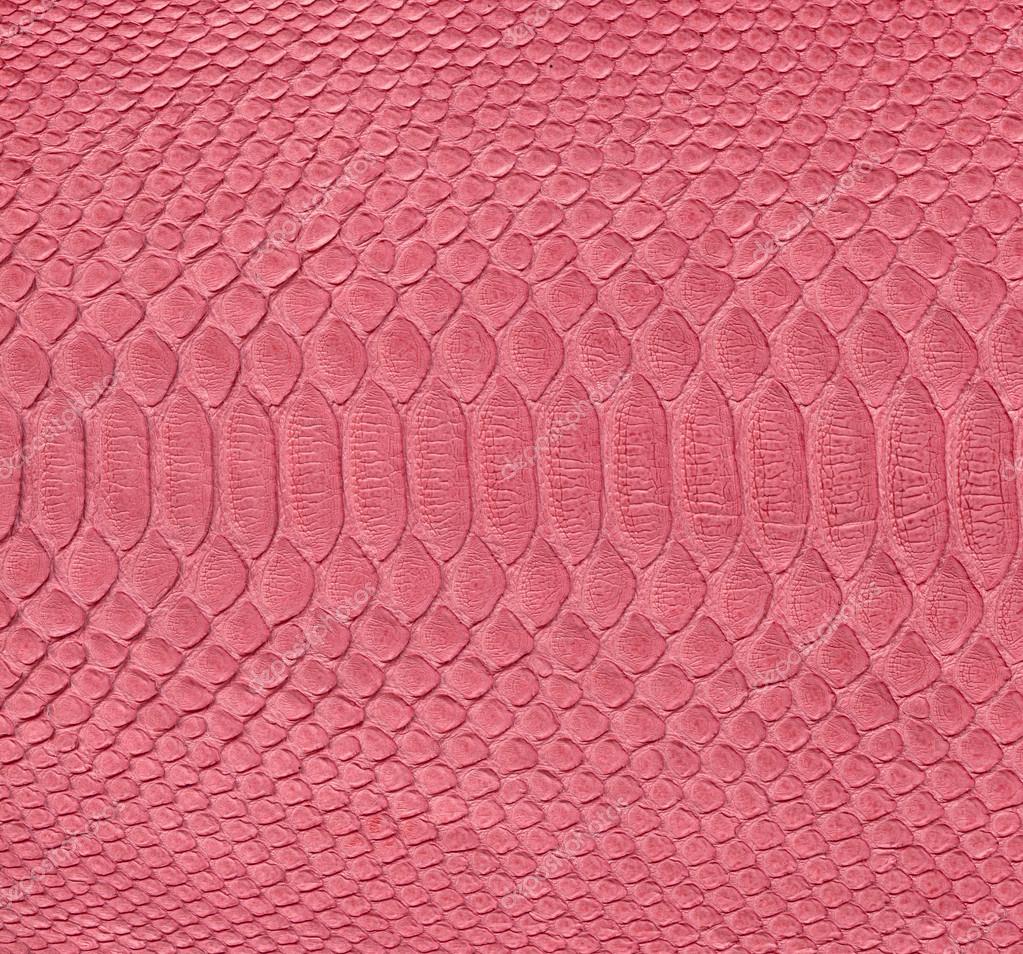 Red snake skin — Stock Photo © natalt #34723937