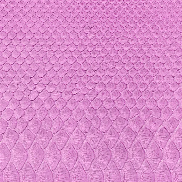 Pink snake skin imitation background — Stock Photo © natalt #36547665