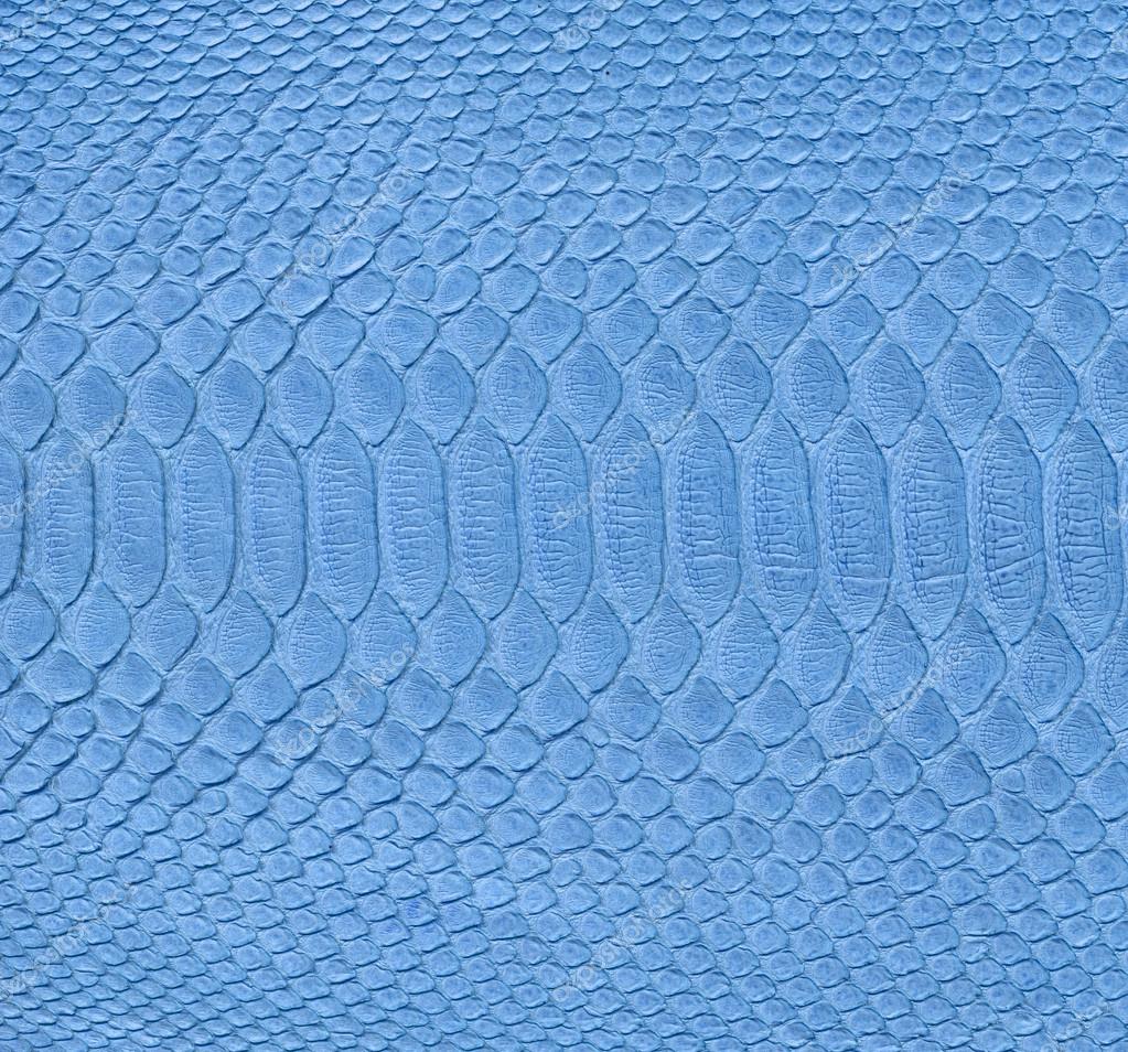 Blue snake skin imitation background Stock Photo by ©natalt 36547651