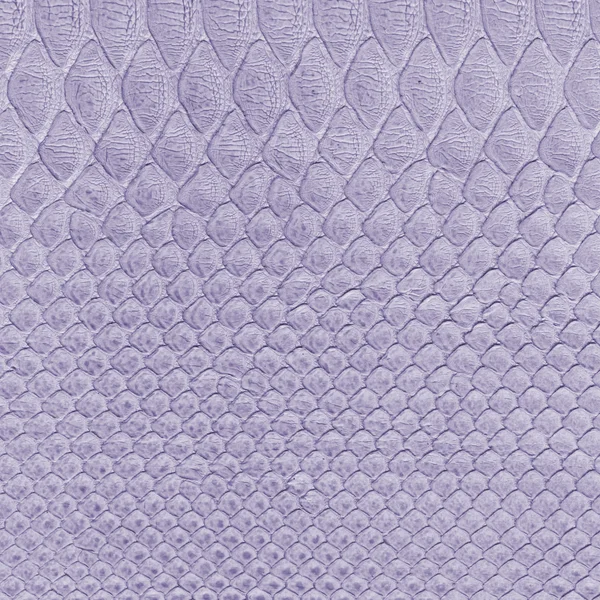 Pink snake skin imitation background Stock Photo by ©natalt 36547615