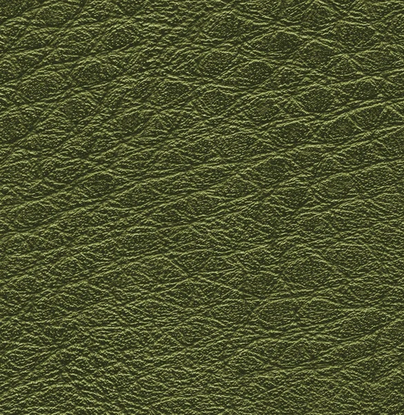 Green leather texture, — Stock Photo © natalt #120588364