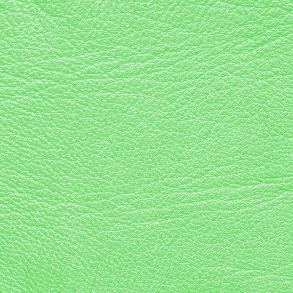 Green leather texture, — Stock Photo © natalt #120588364
