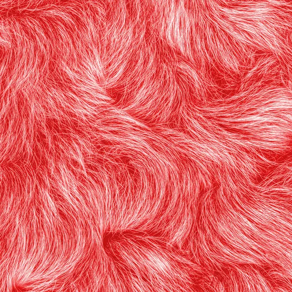 Bear fur texture Pictures, Bear fur texture Stock Photos & Images ...