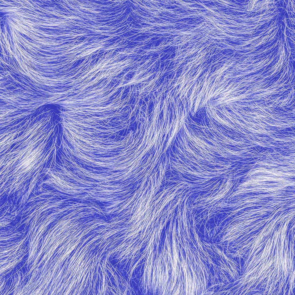 Blue fur texture — Stock Photo © natalt #43624779