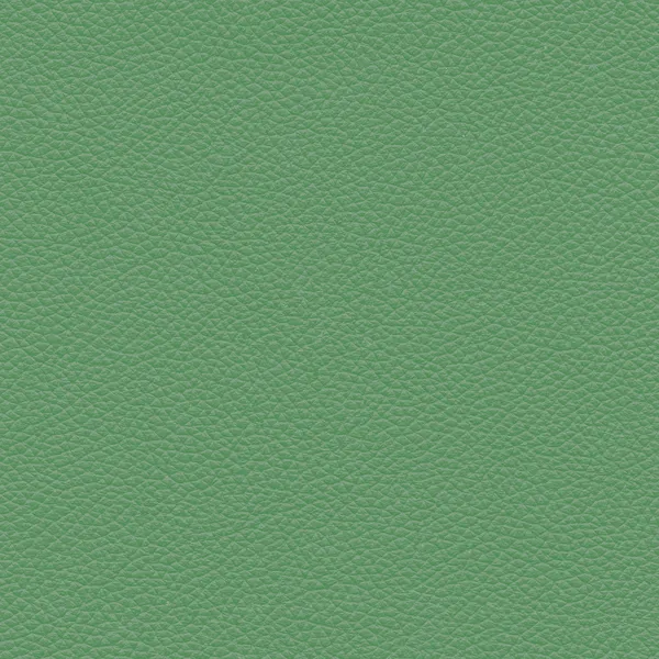 green leather texture - Stock Image - Everypixel