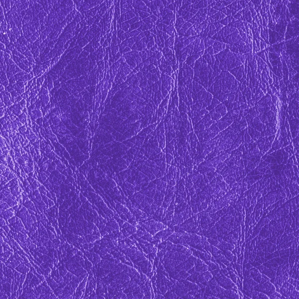 Violet leather texture. — Stock Photo © natalt #128908266