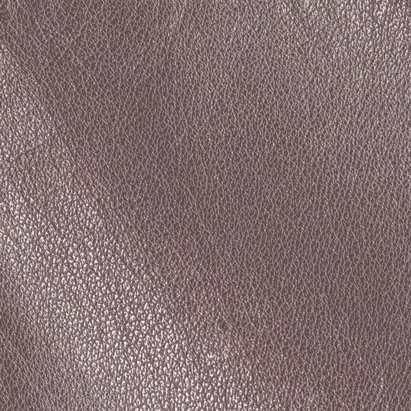 Grey leather Stock Photos, Royalty Free Grey leather Images | Depositphotos