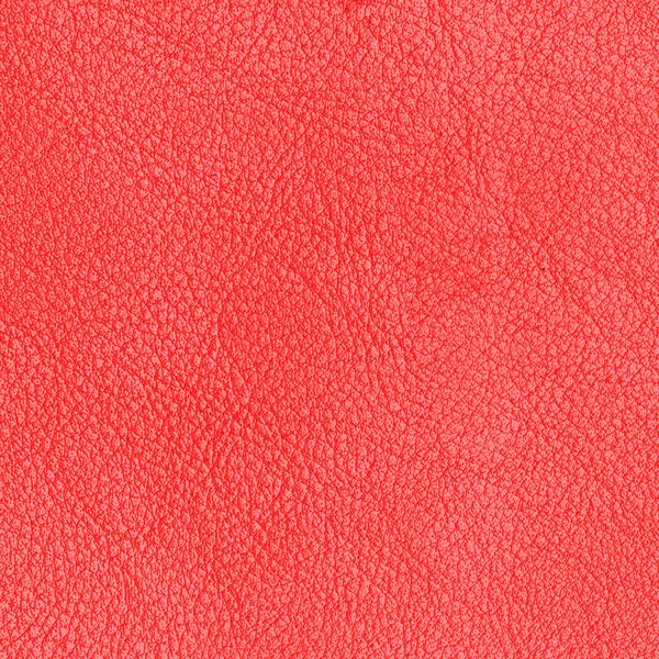 Red leather Stock Photos, Royalty Free Red leather Images | Depositphotos