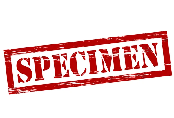 54,338,208 Specimen Vector Images | Depositphotos