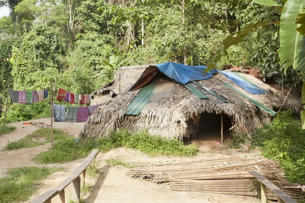 Orang Asli in his village in Taman Negara,Malaysia Stock Photo by ...