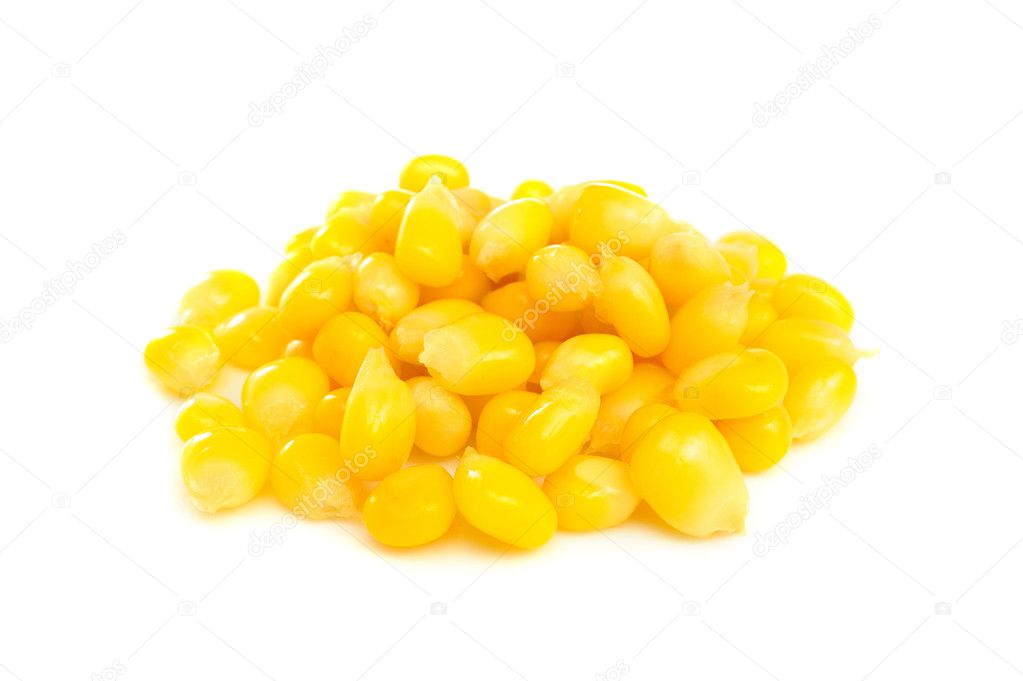 Sweet corn Stock Photo by ©norgallery 29404757