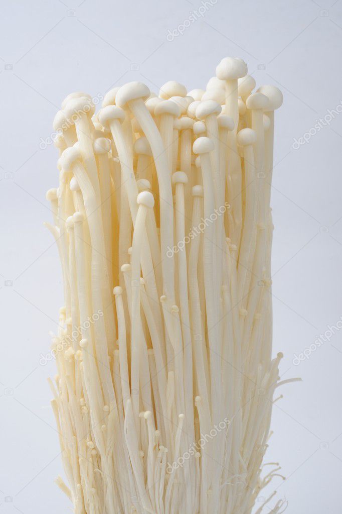 Enokitake Stock Photo by ©norgallery 42885251