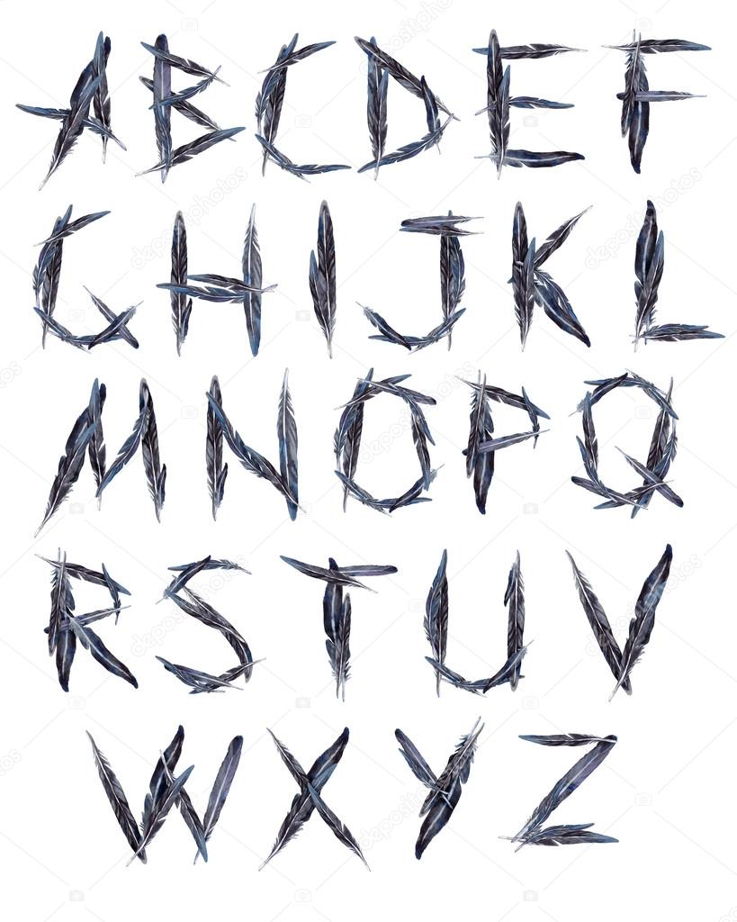 Raven Feather Drawing