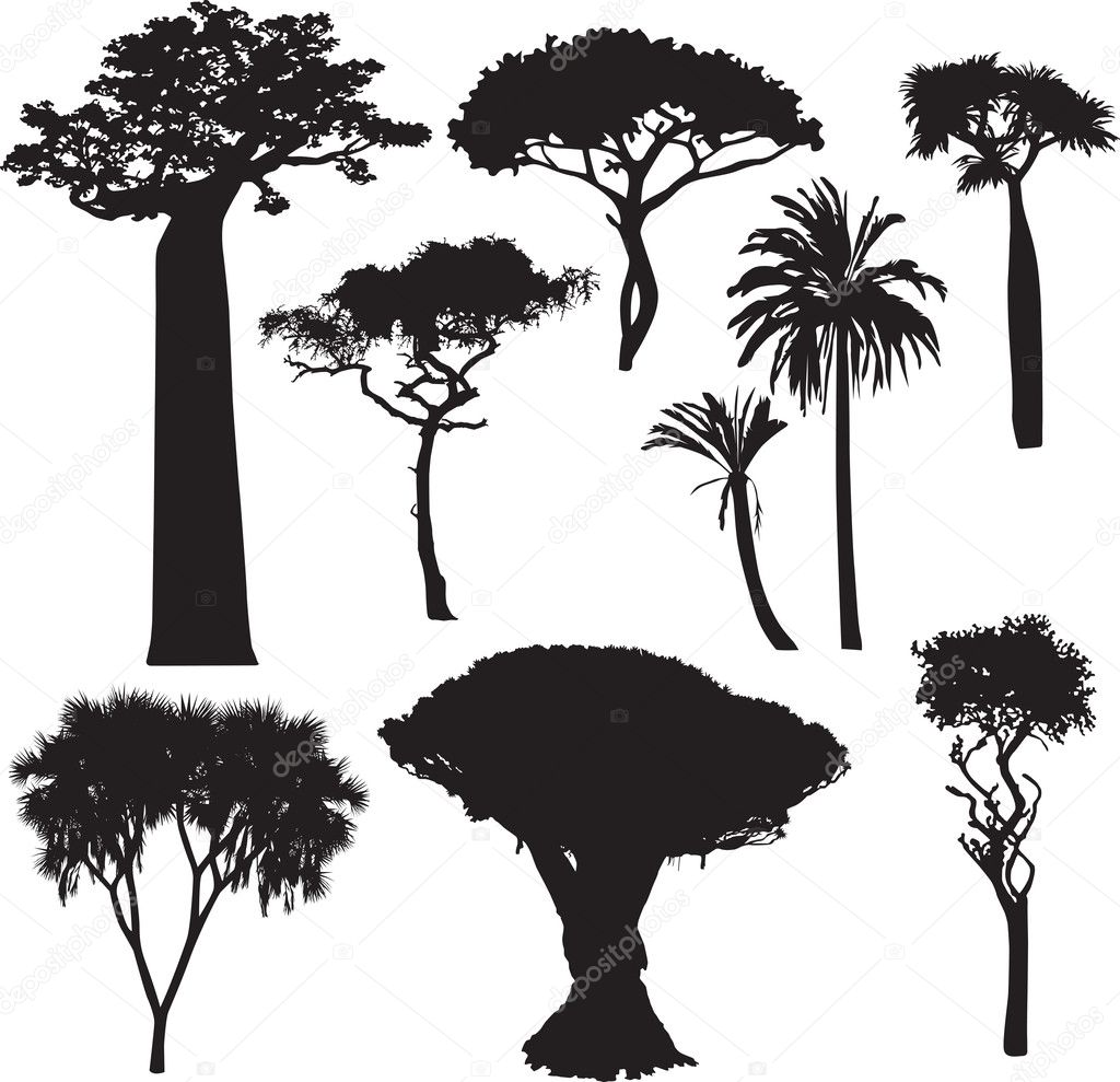 African tree silhouettes Stock Vector by ©roman4 13416495