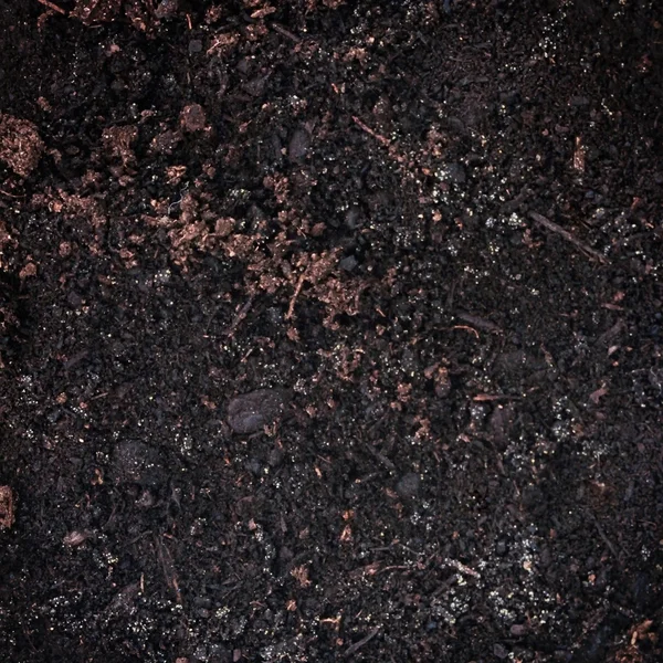 Dead soil Stock Photos, Royalty Free Dead soil Images | Depositphotos