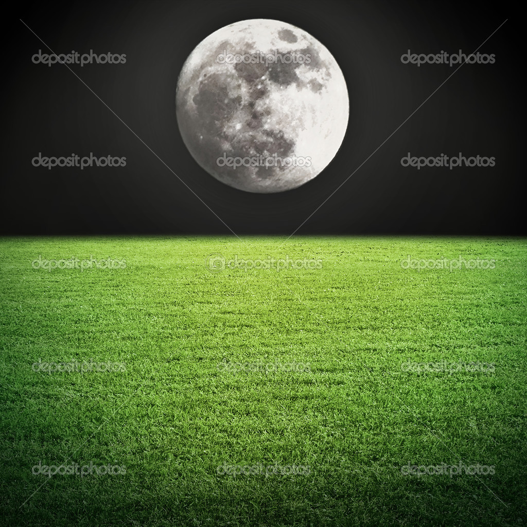 Night moon and field — Stock Photo © mexrix #44092295
