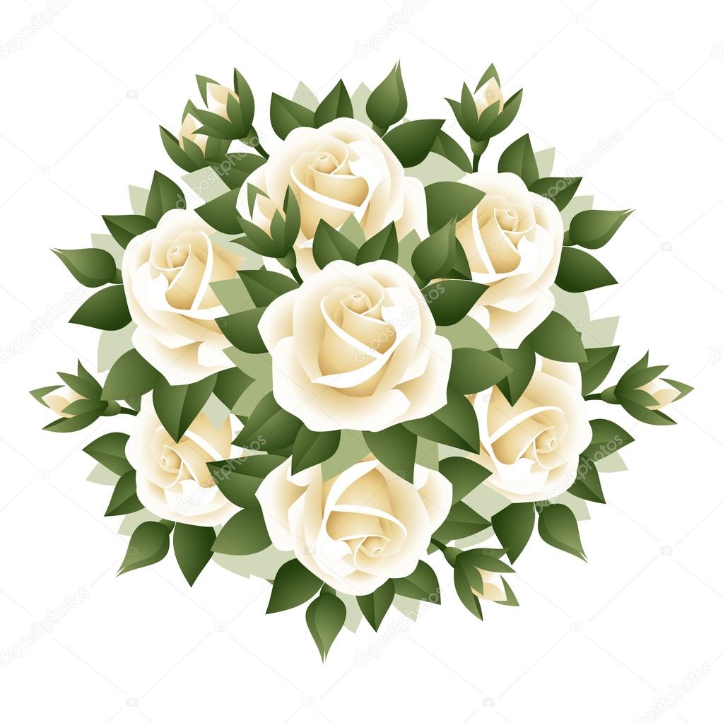 Vector: rosas blancas | ramo de rosas blancas. ilustración vectorial ...