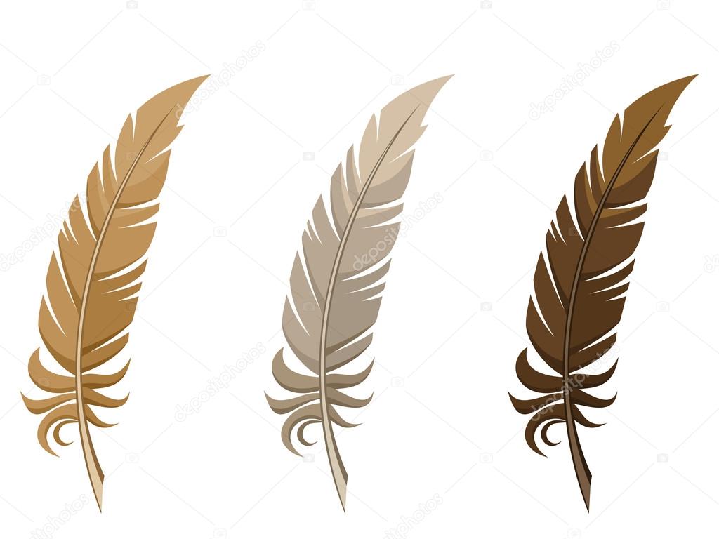 Set of three feathers. Vector illustration. ⬇ Vector Image by © Naddya ...