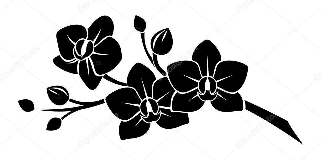 Silhueta preta de flores de orquídea. Ilustração vetorial . — Vetor de ...