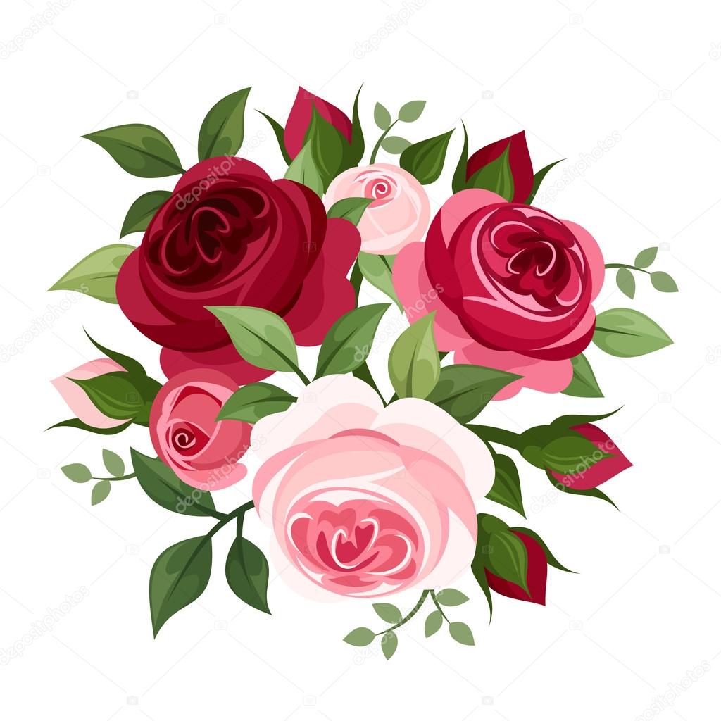 Red and pink roses. Vector illustration. Stock Vector by ©Naddya 36731679