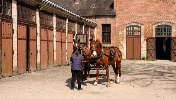 The windsor castle stables Stock Photos, Royalty Free The windsor ...