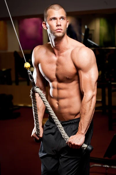 Gym workout. - Stock Image - Everypixel